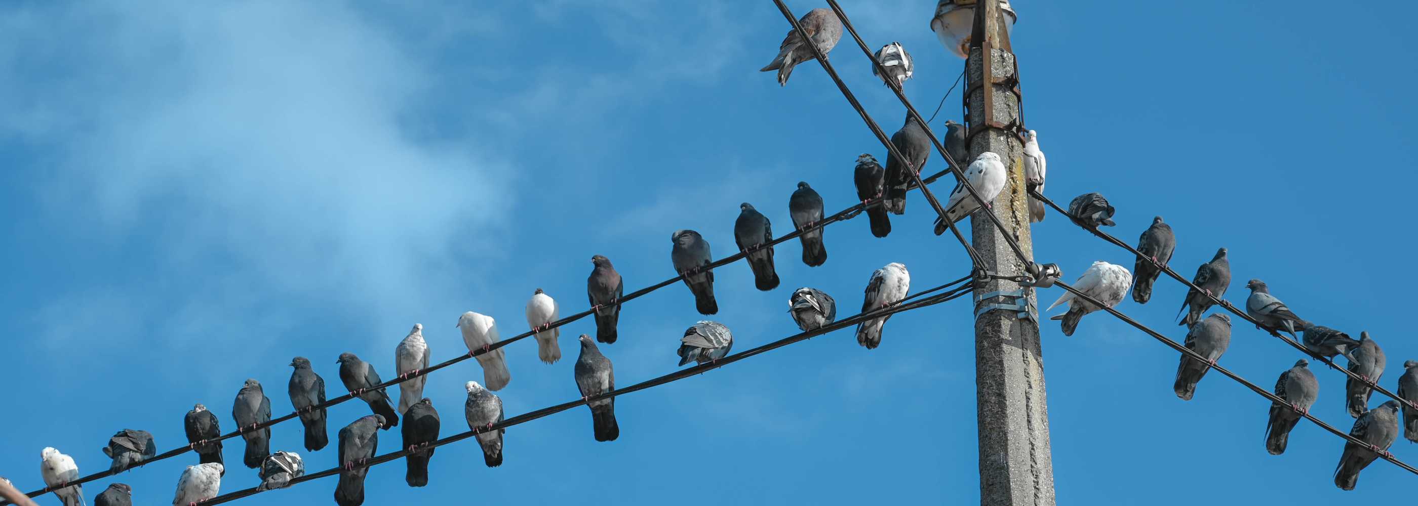 Network Support London | Network Services London – Interfuture